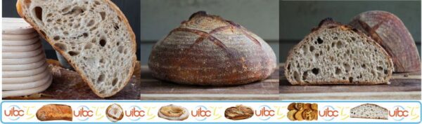 LA FERMENTACIÓN EN EL PAN | PANADEROS.INFO